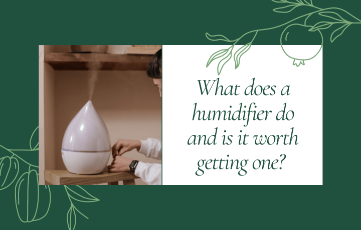 What does a humidifier do and is it worth getting one? - Mrs Bishop